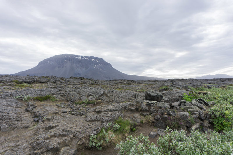 Mt. Askja and the Highlands – Tinna Adventure